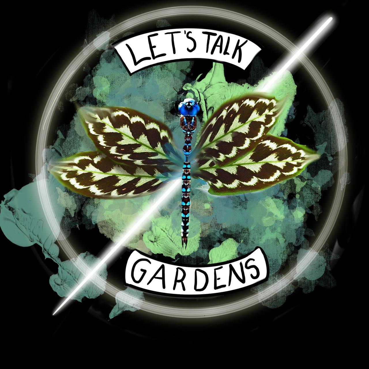 Fascinating False Cardamom - letstalkgardens